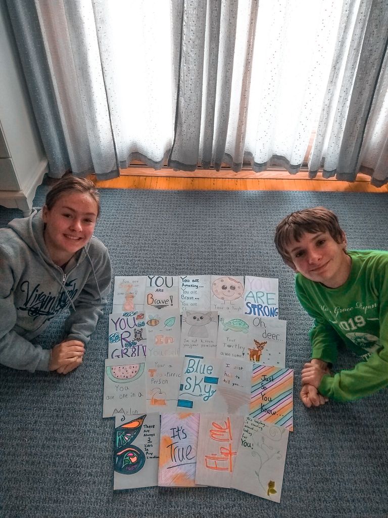 NHS Service Project At IVLA